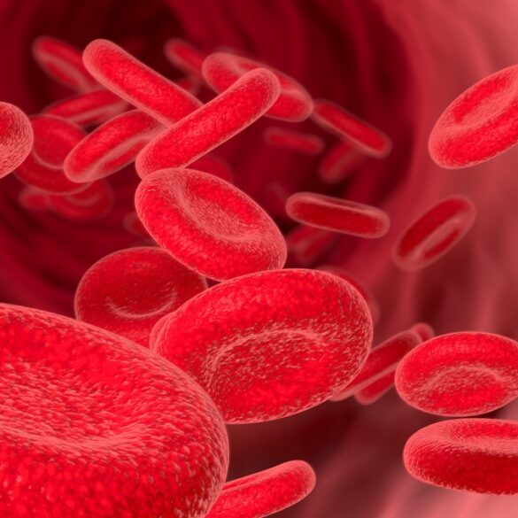 FibroTest® et FibroMax®